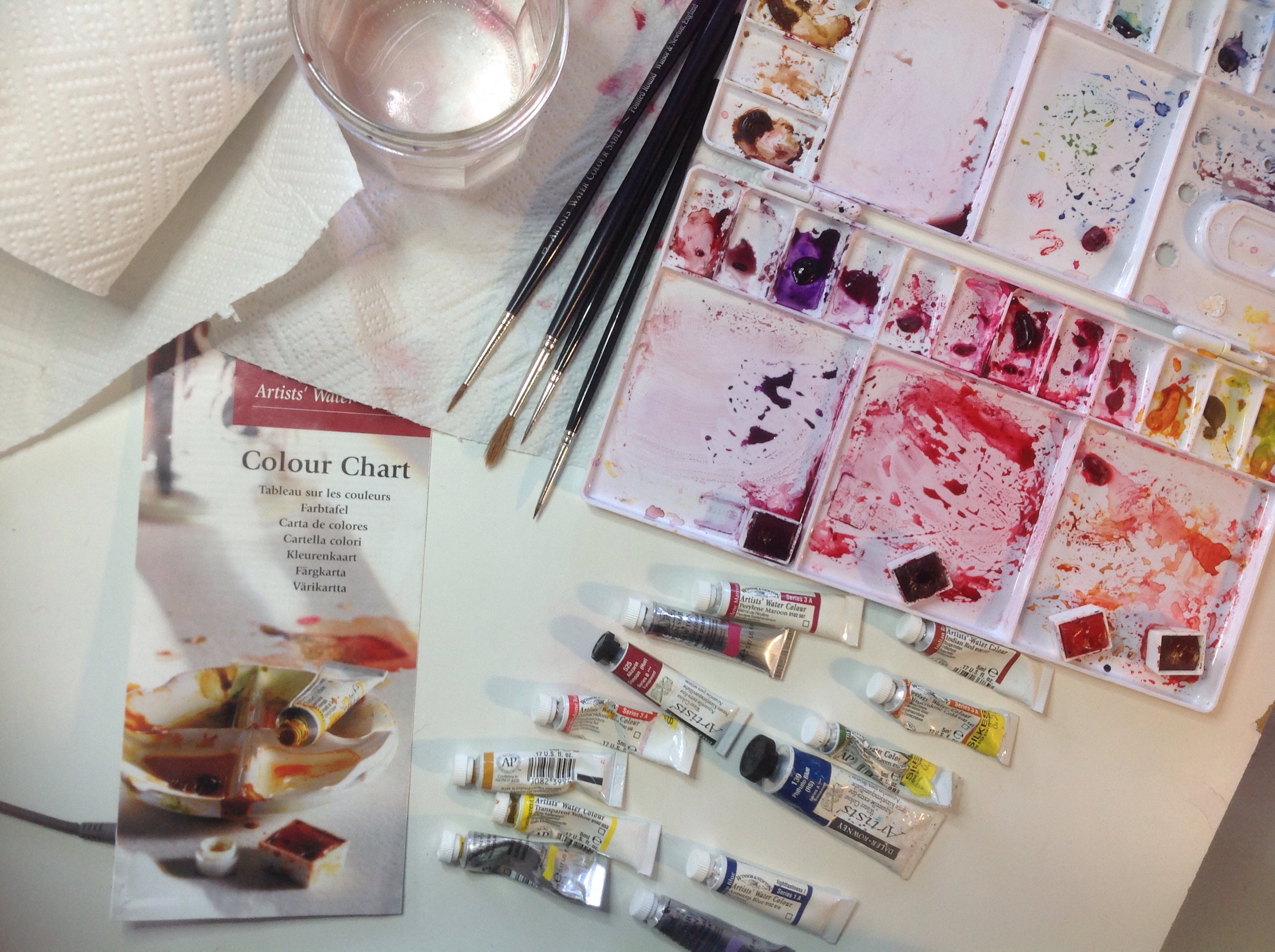 image – MARY DILLON – Botanical