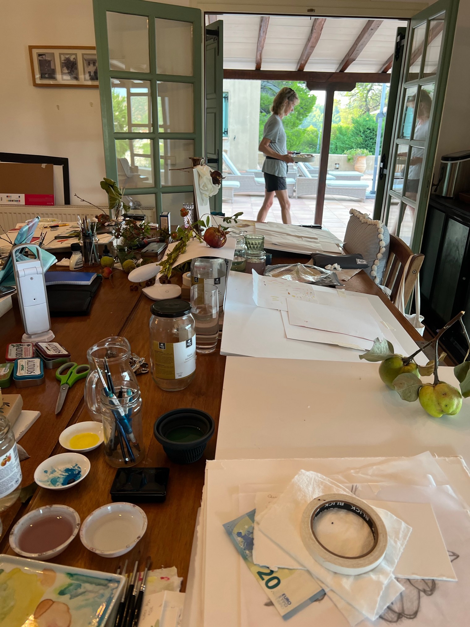 MARY DILLON – Botanical – Botanical Art